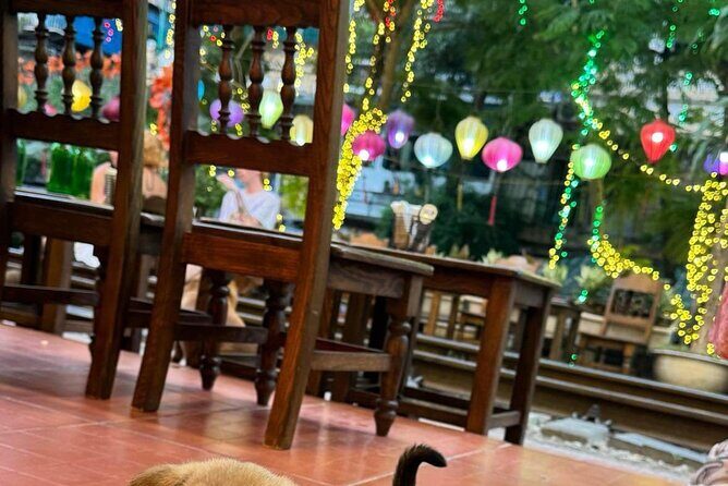 Foodie Motorbike Tour of Hanoi - Final Verdict: Who Should Consider This Tour?