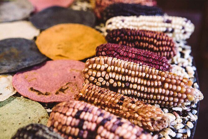 Foodie Tour in Polanco: Mexico Culinary roots! - Authentic Experiences and Gourmet Surprises