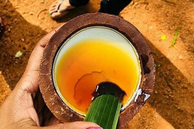 Foodies Sri Lanka ( 11 N /12 D) - Final Thoughts