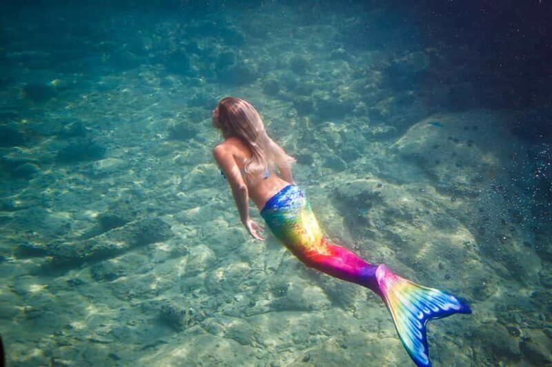 For Families: 45-minute Semi-submarine tours with a mermaid - Analyzing the Value