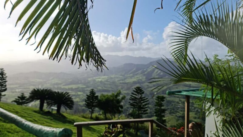 for Small Groups Half-Day Tour to Montaña Redonda - Who Is This Tour Best For?