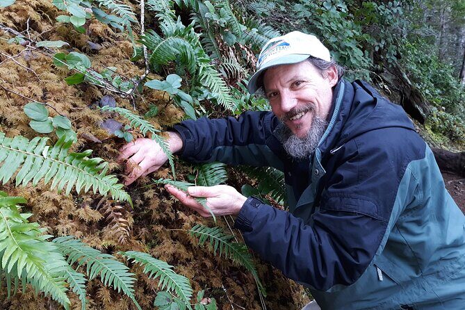 Foraging Tour of Edible Plants and Mushrooms in Brinnon - Foraging Tour of Edible Plants and Mushrooms in Brinnon: A Practical Wilderness Walk