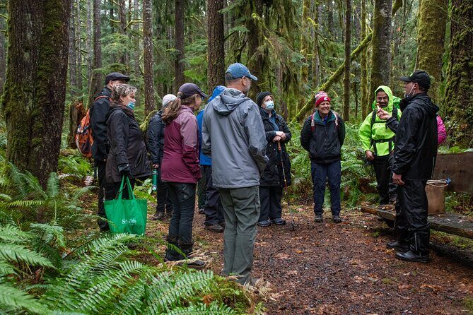 Foraging Tour of Edible Plants and Mushrooms in Brinnon - Key Points