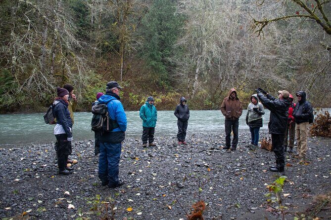 Foraging Tour of Edible Plants and Mushrooms in Brinnon - Who Will Love This Tour?