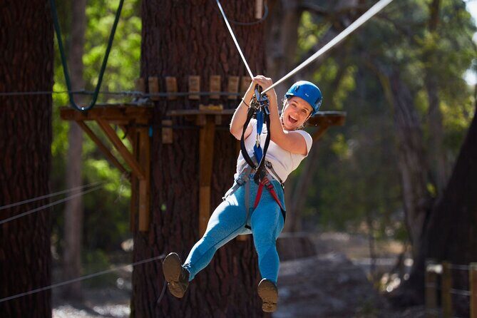 Forest Adventures - What to Expect from Your Forest Adventures Experience