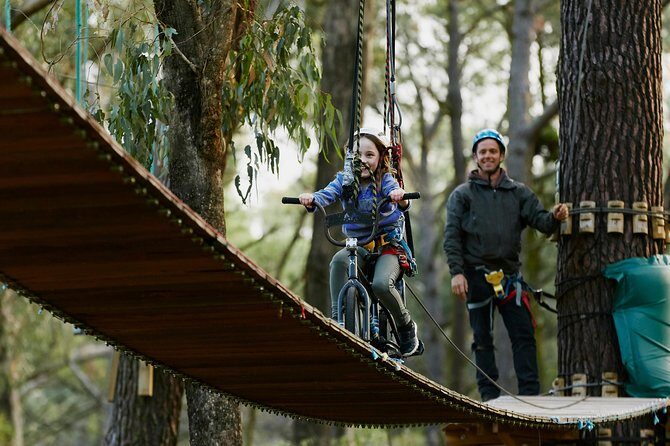 Forest Adventures - Authentic Traveler Experiences and Insights
