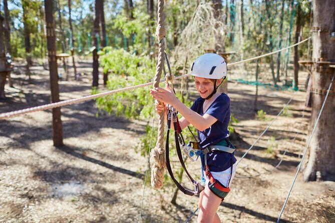 Forest Adventures - Final Thoughts: Who Will Love Forest Adventures?
