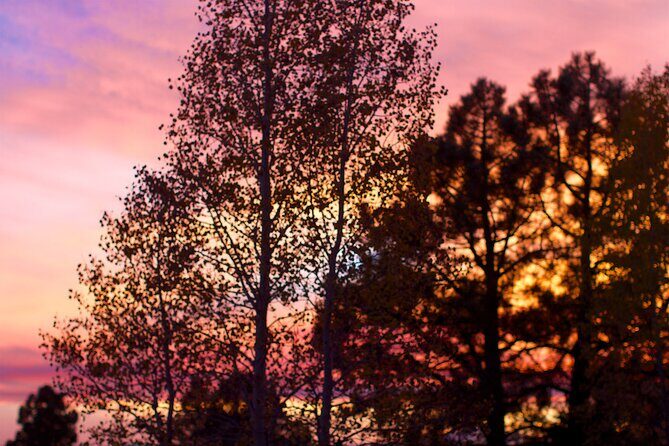 Forest Bathing and Meditation on Mt Lemmon - The Sum Up