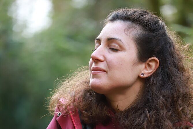 Forest Bathing in Tuscany with Wild Crafted Tea - A Detailed Look at Forest Bathing in Tuscany with Wild Crafted Tea
