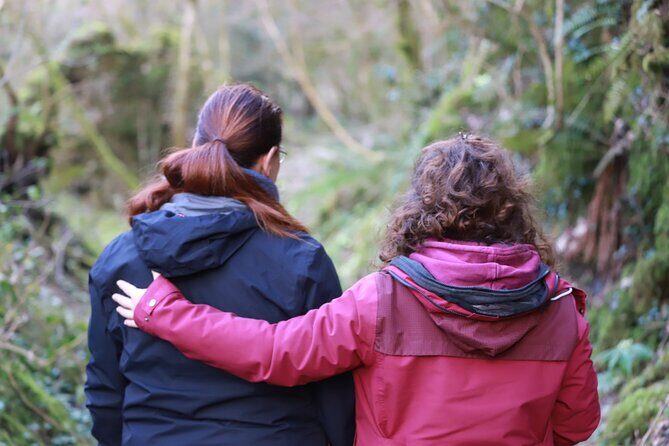 Forest Bathing in Tuscany with Wild Crafted Tea - The Experience in Detail