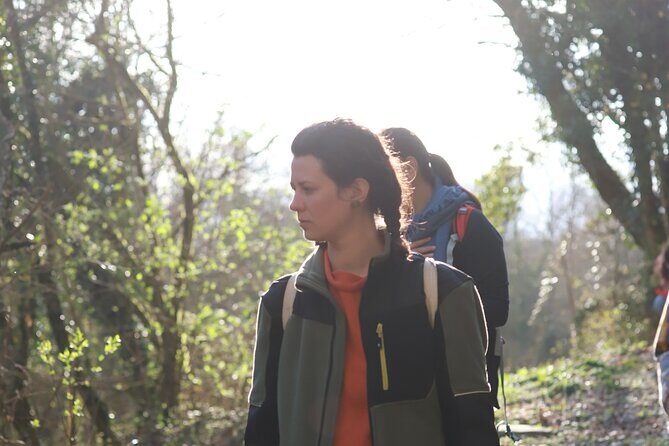Forest Bathing in Tuscany with Wild Crafted Tea - In The Sum Up