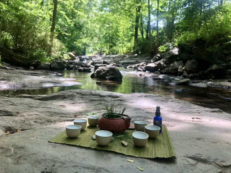 Forest Bathing & Nature Therapy Mini-Retreat - Key Points