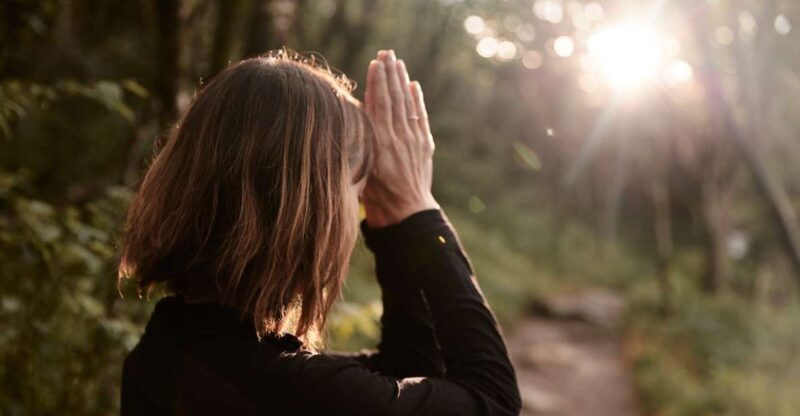 Forest Bathing & Nature Therapy Mini-Retreat - An Introduction to Forest Bathing & Nature Therapy