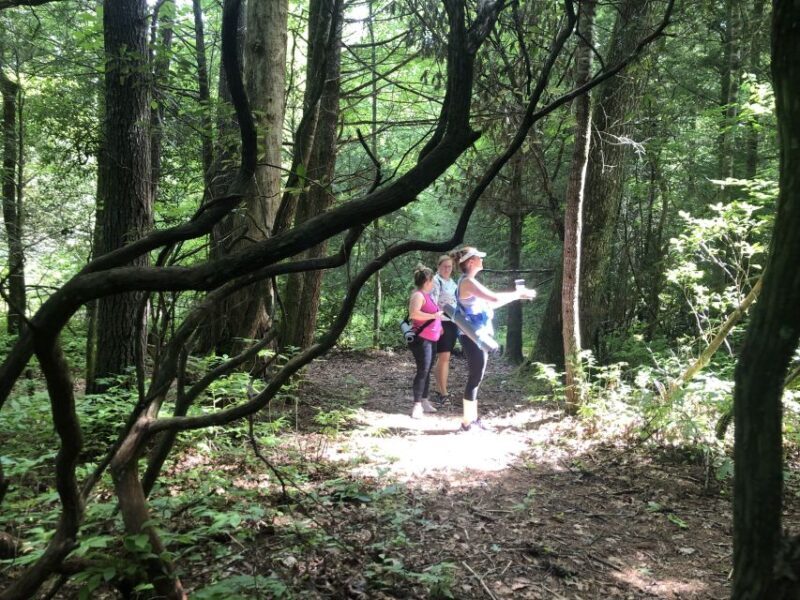 Forest Bathing & Nature Therapy Mini-Retreat - The Value of a Guided Walk