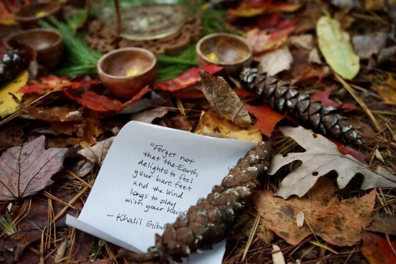 Forest Bathing & Nature Therapy Mini-Retreat - The Bottom Line: Is It Worth It?