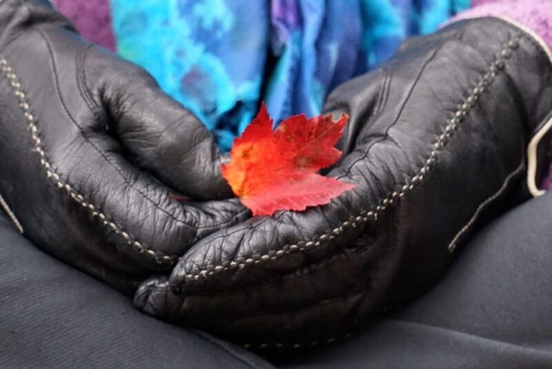 Forest Bathing & Nature Therapy Mini-Retreat - FAQ