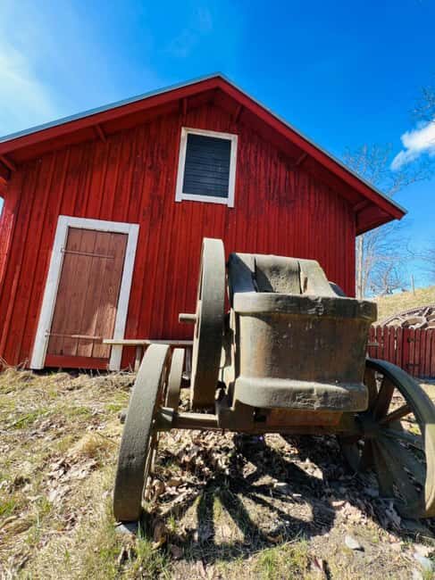 Forest, Castle & Fiskars Village Day Trip from Helsinki - An Honest Look at the Itinerary