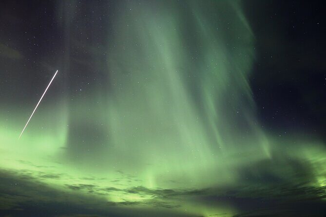 Forest Lagoon and Northern Lights Guided Night Tour - Key Points