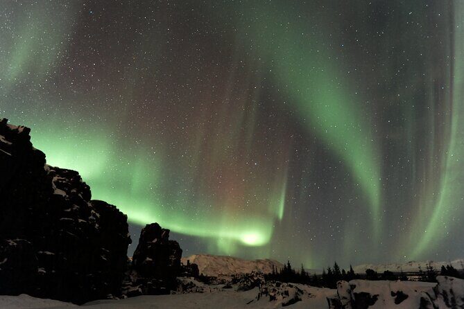 Forest Lagoon and Northern Lights Guided Night Tour - An introduction to what this tour offers