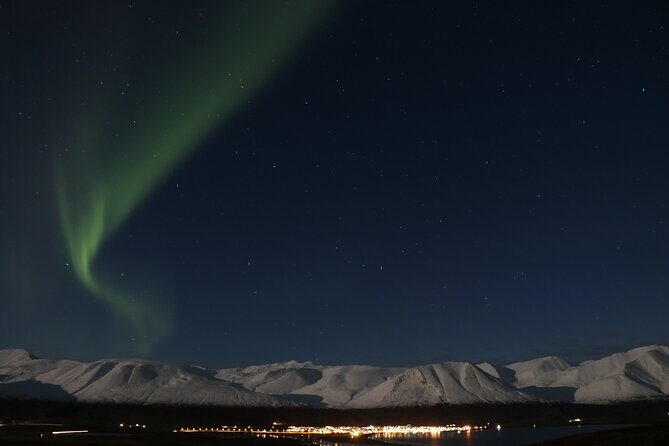 Forest Lagoon and Northern Lights Guided Night Tour - The value of the experience