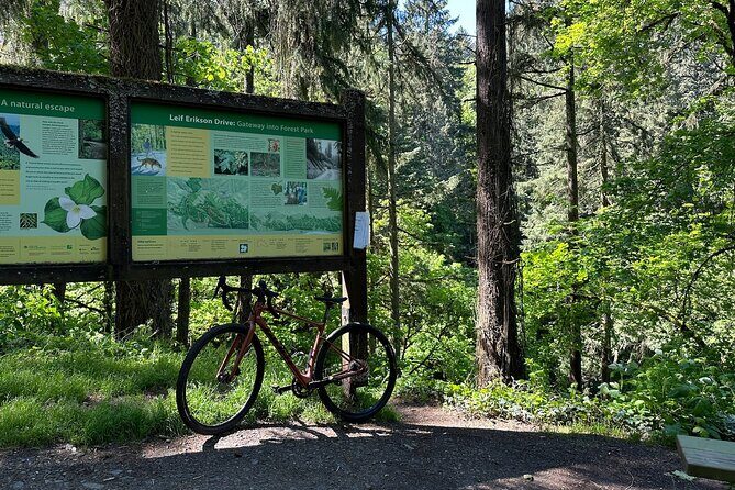 Forest Park Carbon Gravel Bike and E-Bike Tour - Final Thoughts
