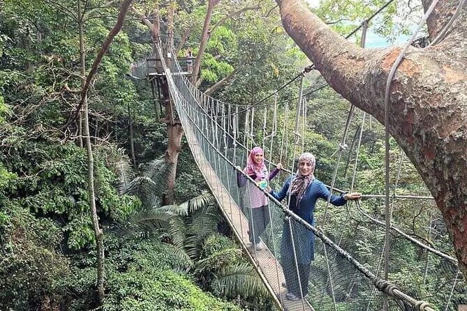 Forest Research Institute Malaysia (FRIM) Nature Trekking Tour - Key Points