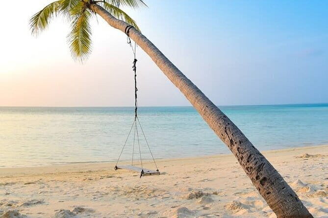 Forest Rock Climbing from Colombo - The Value of This Adventure