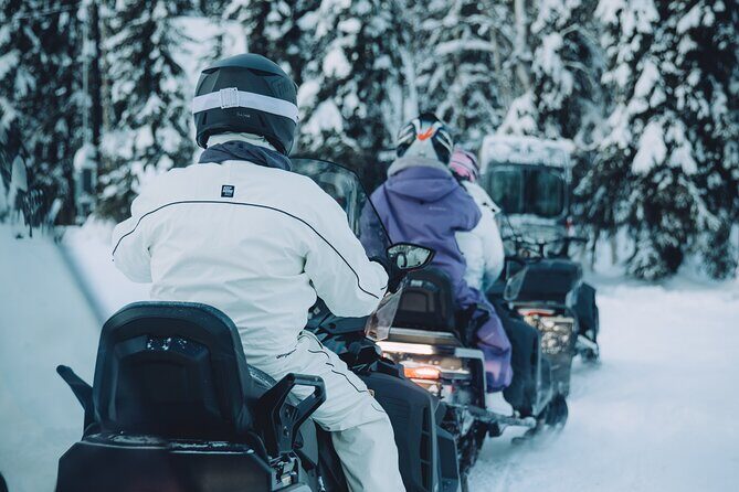 Forest Snowmobile Tour in Alaska - Key Points
