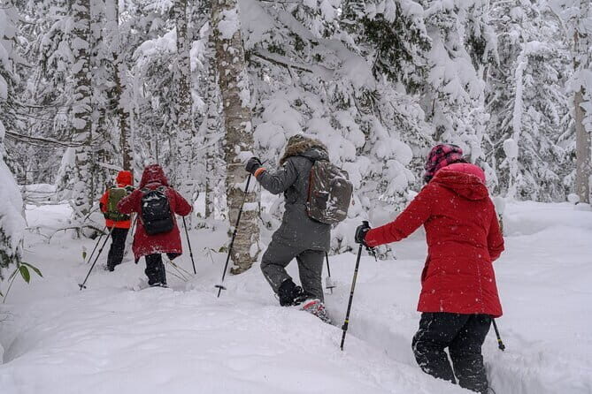 Forest Snowshoeing in White Birch and Blue River Course - An In-Depth Look at the Snowshoeing Adventure