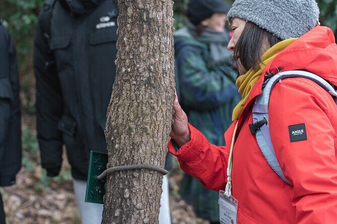 Forest Therapy in Sasaguri town - Exploring Sasaguri Forest Therapy: What’s in Store?