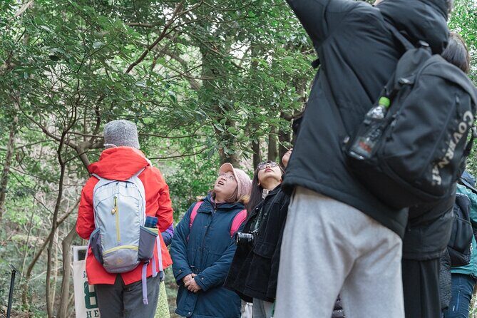 Forest Therapy in Sasaguri town - Cultural and Culinary Experience