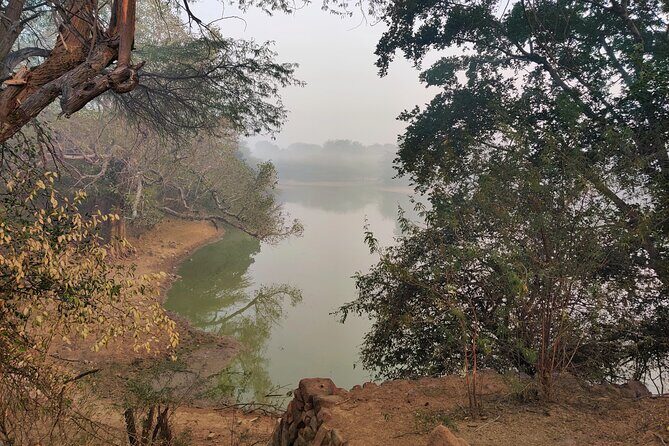 Forest Trail Hiking Adventure-Gurgaon by @Aravali.Hikes - Key Points