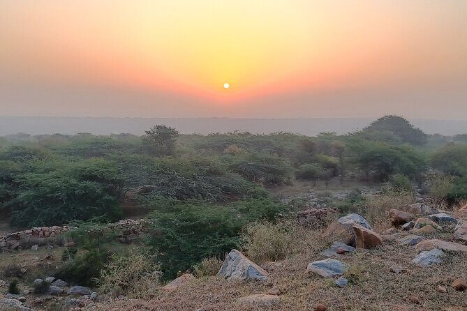 Forest Trail Hiking Adventure-Gurgaon by @Aravali.Hikes - Who Should Consider This Experience?