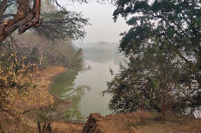 Forest Trail Hiking Adventure-Gurgaon by @Aravali.Hikes - The Sum Up