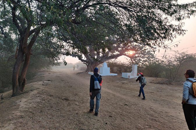 Forest Trail Hiking Adventure-Gurgaon by @Aravali.Hikes - FAQ