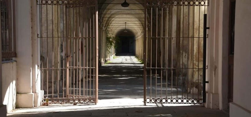 Forgotten Souls: The Collegno Asylum and Its Secrets - The Roots of the Asylum: From Madness to Modernity