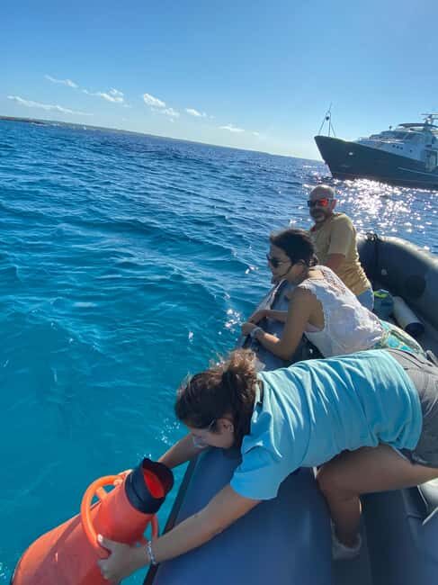 Formentera: 2-hour snorkel with marine biologist by boat - What’s Included and What You Should Consider
