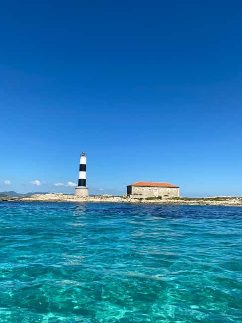 Formentera: 2-hour snorkel with marine biologist by boat - Who Will Love This Tour?