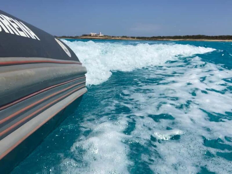 Formentera: 2-hour snorkel with marine biologist by boat - The Sum Up: Why This Tour Is a Smart Choice