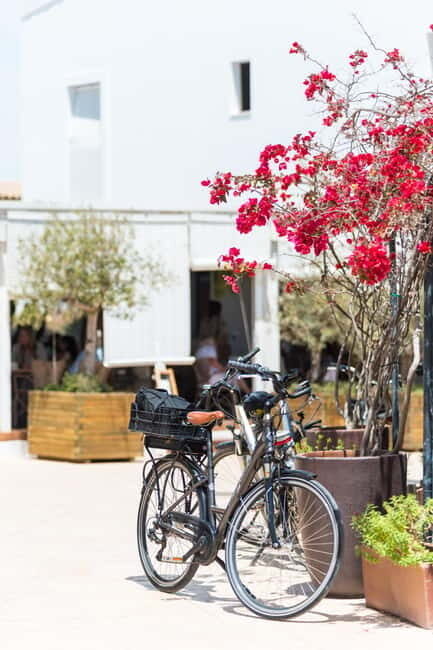 Formentera: discover our fast ferry + bike package - Introduction