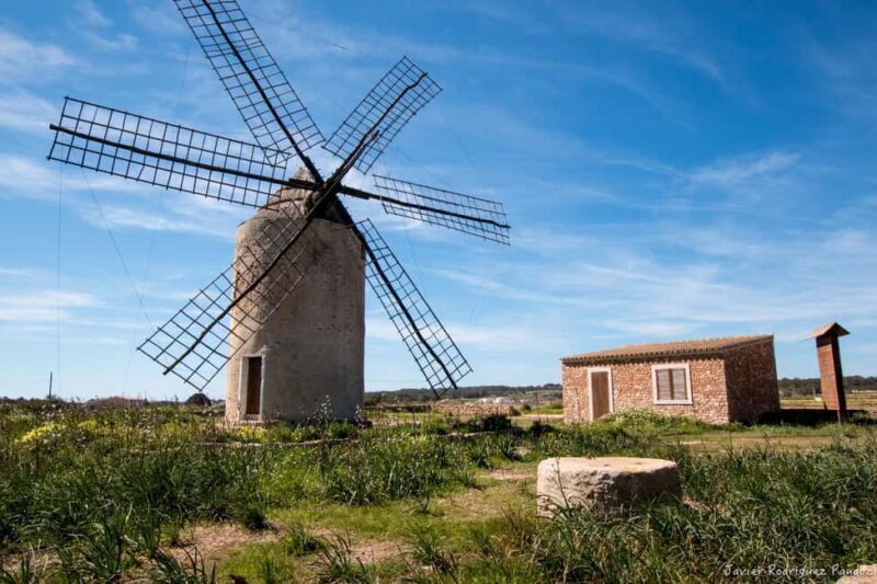 Formentera: discover our fast ferry + electric bike package. - Real Traveler Feedback