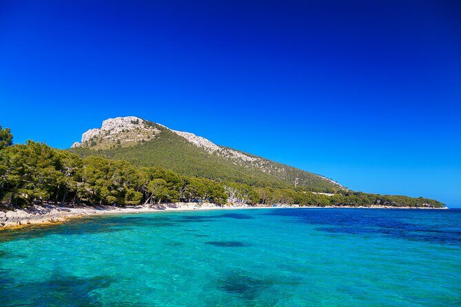Formentor with boat trip + local market - The Price and How It Stacks Up