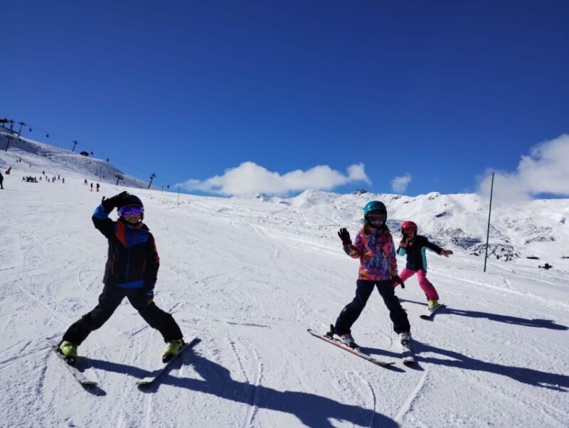 Formigal: Private Ski Lesson - Half or Full Day - Key Points