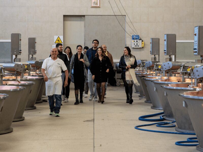 Formigine: Parmesan Factory Tasting and Tour near Modena - Key Points