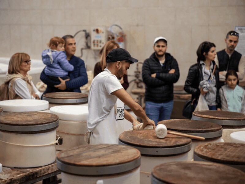 Formigine: Parmesan Factory Tasting and Tour near Modena - A Practical Look at the Parmesan Factory Tour