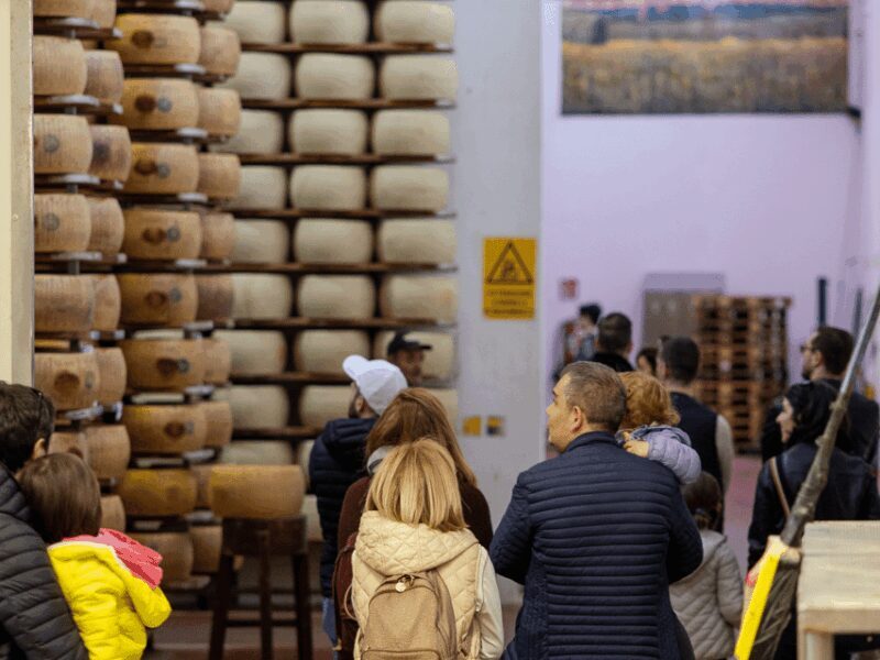 Formigine: Parmesan Factory Tasting and Tour near Modena - In The Sum Up