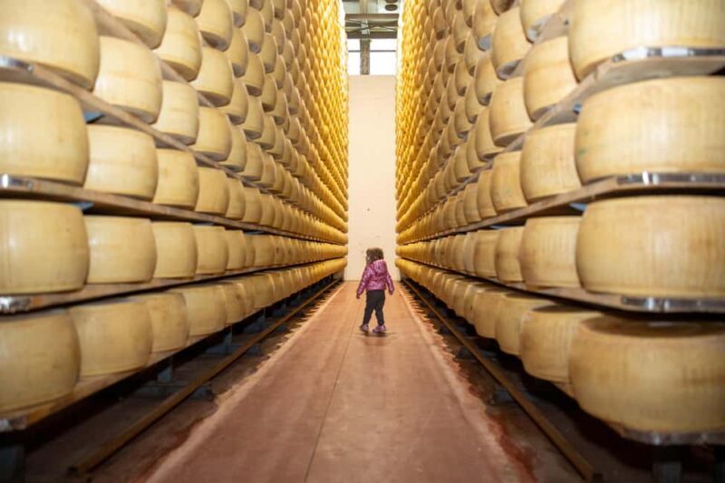 Formigine: Parmigiano tour with full tasting - Visiting the Barn: Where Cows and Milk Begin the Journey