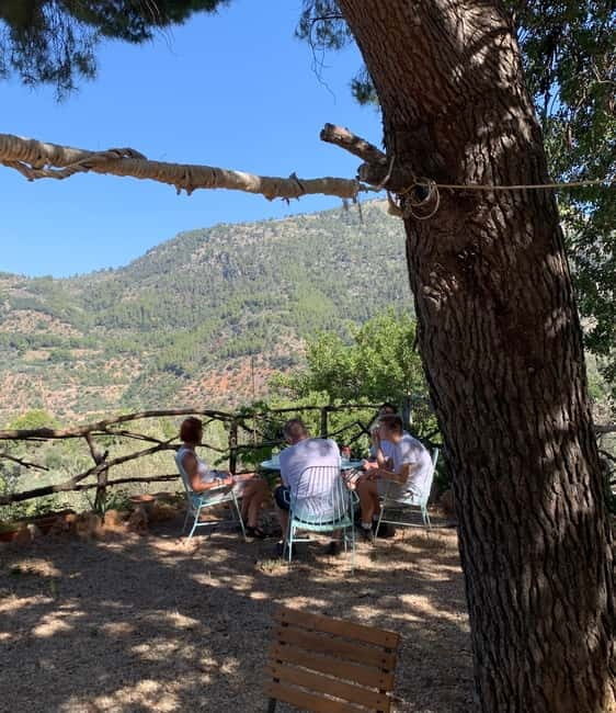 Fornalutx - hiking to the olive farm & oil tasting - Exploring Fornalutx: A Walk Through Mallorca’s Most Beautiful Village
