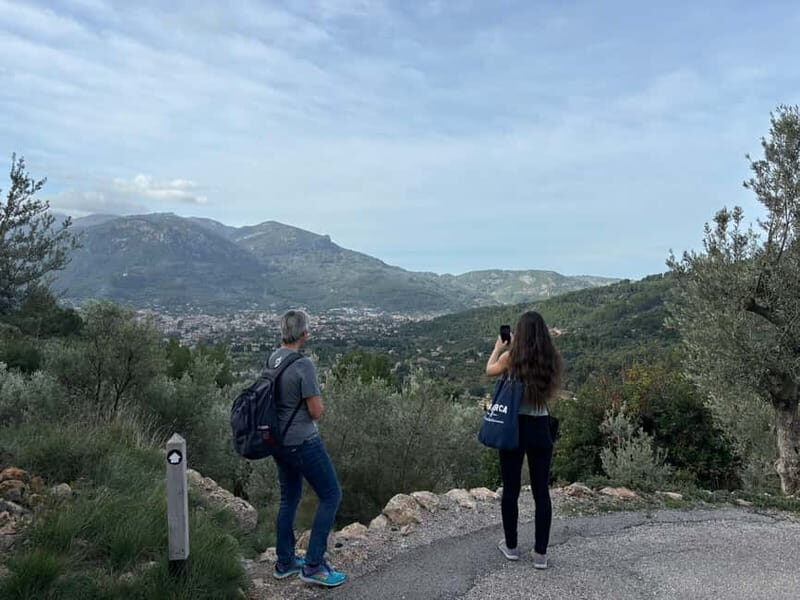 Fornalutx - hiking to the olive farm & oil tasting - The Value of This Experience