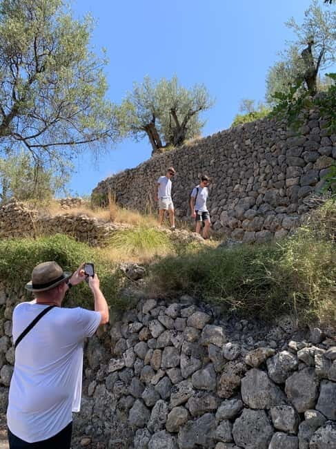 Fornalutx - hiking to the olive farm & oil tasting - Who Will Love This Tour?